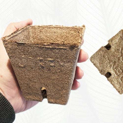 Jiffy Square Pot 80mm - Green Power 100% Biodegradable Natural